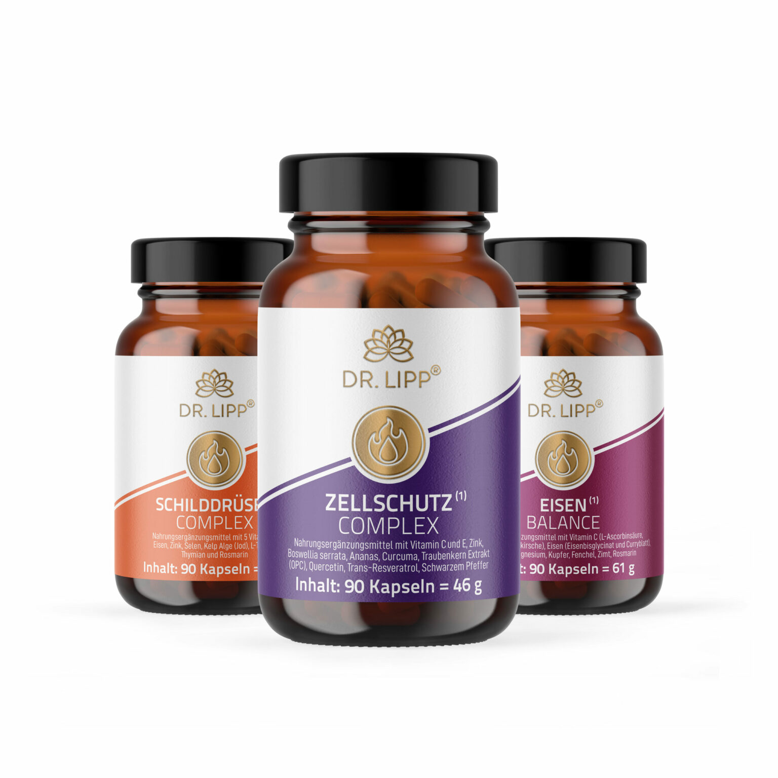 Home - PANTEA - DR. LIPP®